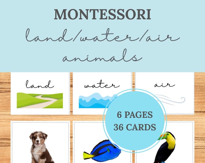 Land/air/water Montessori Identification Photograph Cards - Etsy Canada