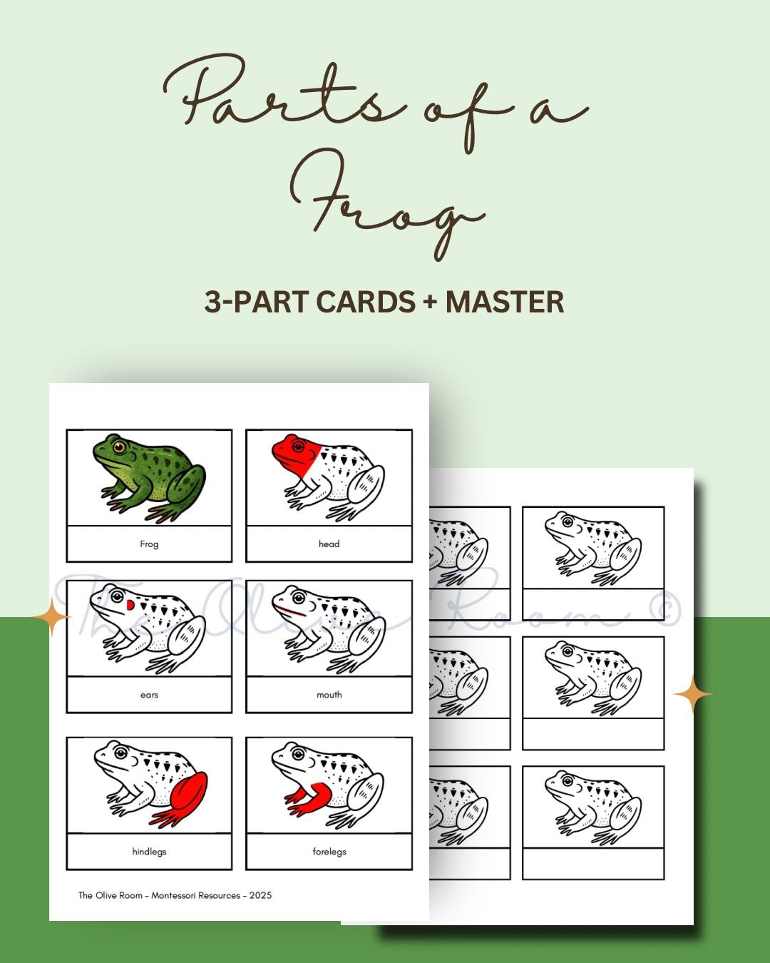 Parts of a Frog - Montessori Nomenclature 3-part Cards + Blackline ...