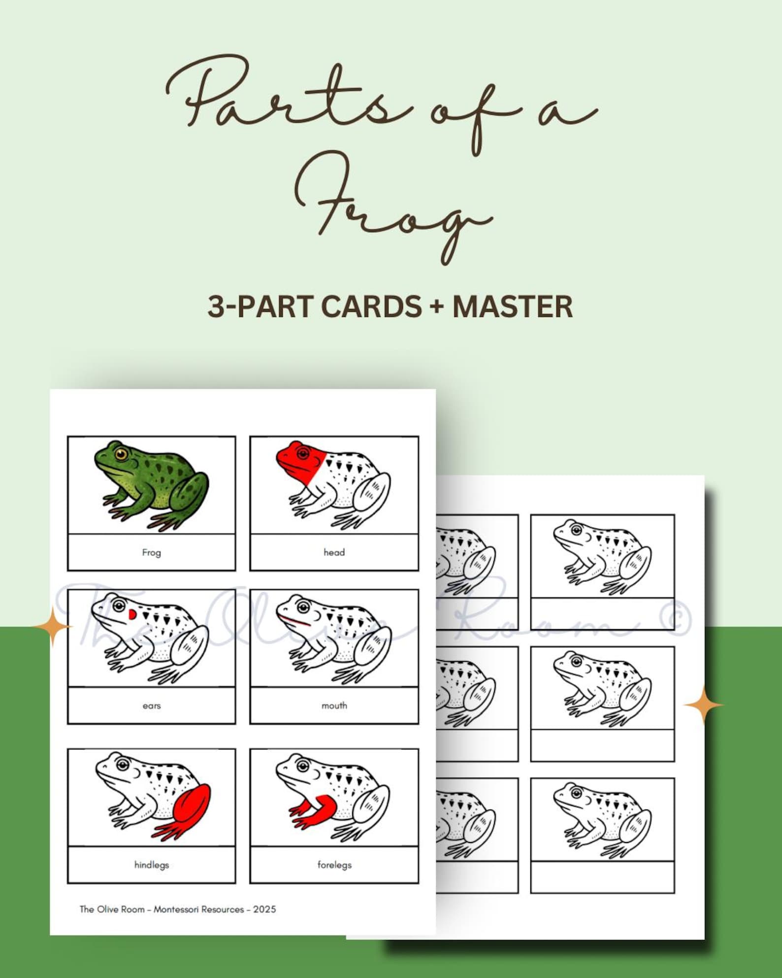 Parts of a Frog - Montessori Nomenclature 3-part Cards + Blackline ...