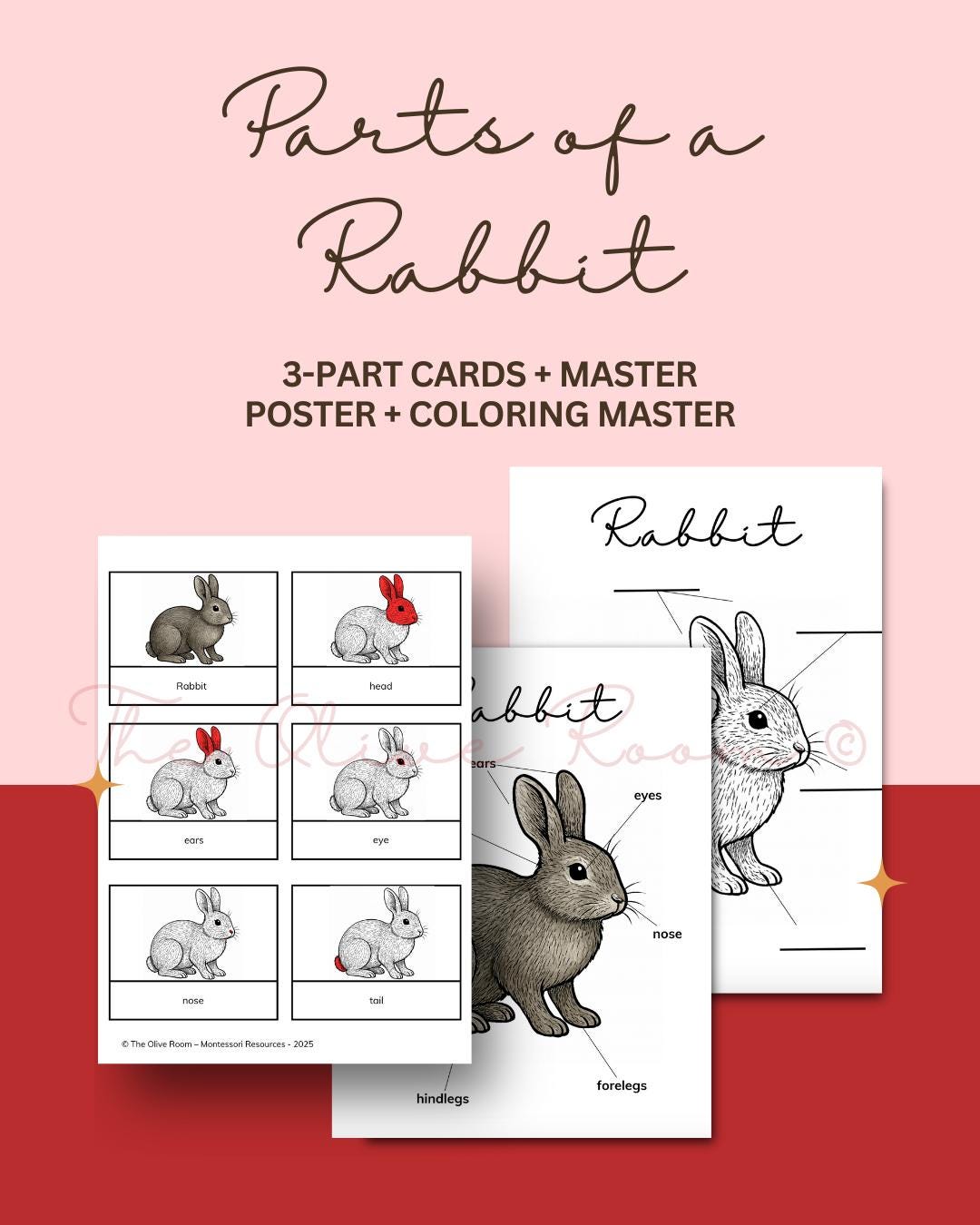 Parts of a Rabbit - Montessori Mammals Nomenclature 3-part Cards ...
