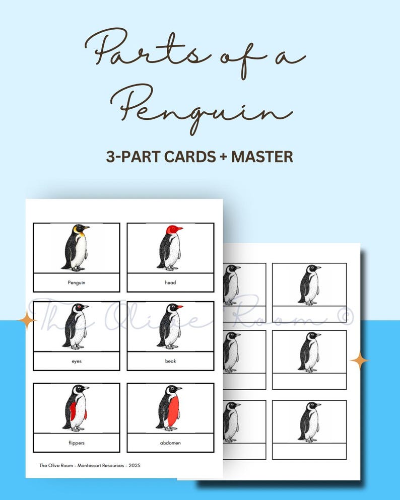 Parts of a Penguin - Montessori Nomenclature 3-part Cards + Blackline ...