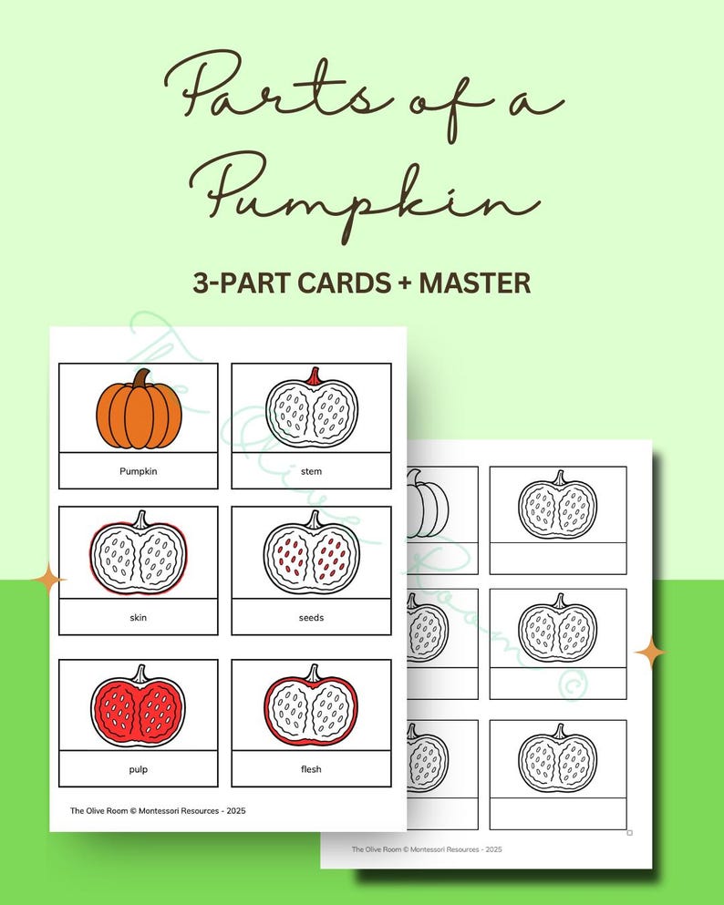 Parts of a Pumpkin - Montessori Botany Shelf Nomenclature 3-part Cards ...