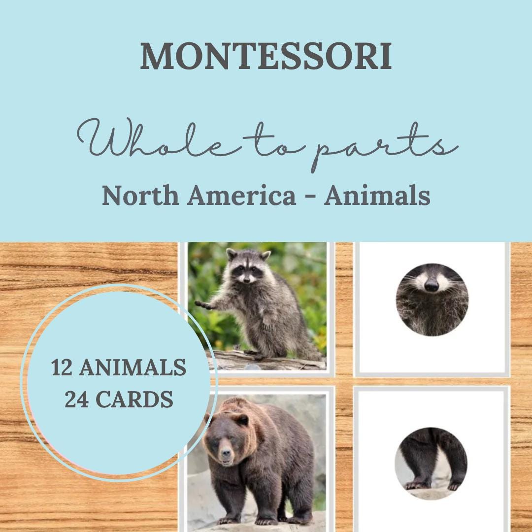 Whole to Parts – North America Animals Montessori Matching Activity - Etsy