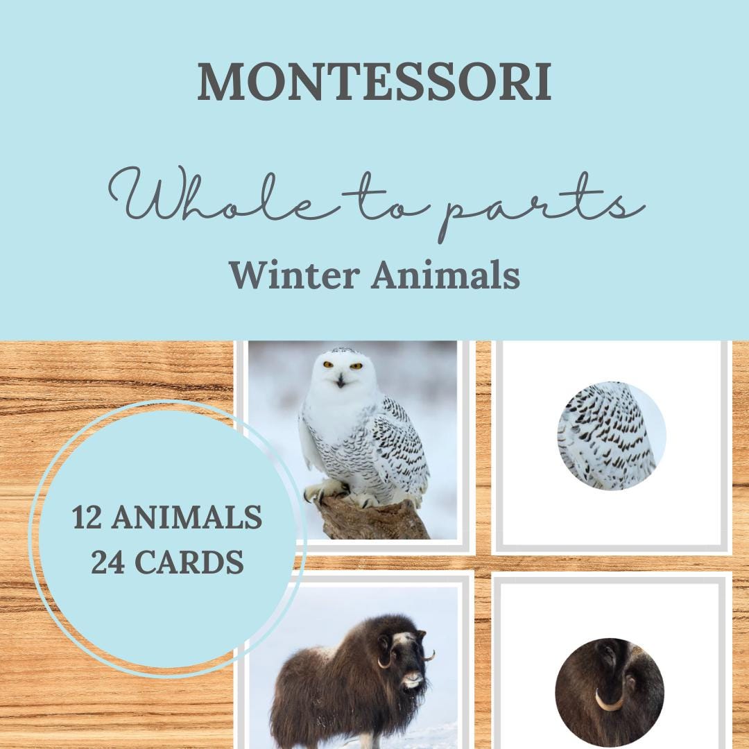 Whole to Parts – Winter Animals Montessori Matching Activity - Etsy