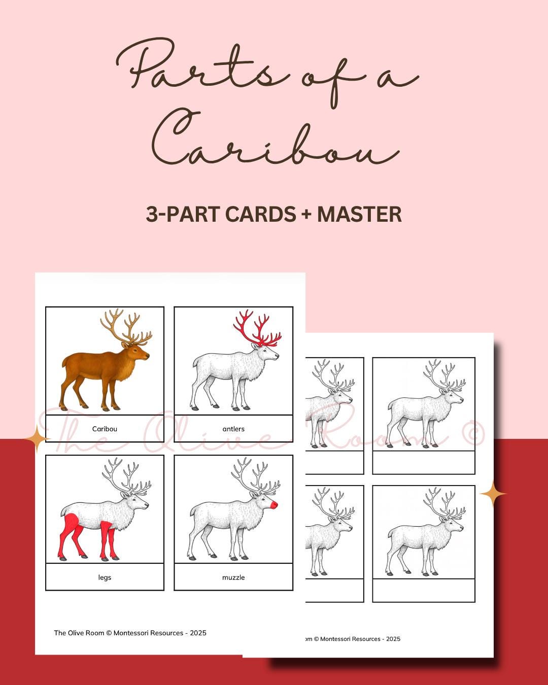 Parts of a Caribou - Montessori Mammals Nomenclature 3-part Cards ...