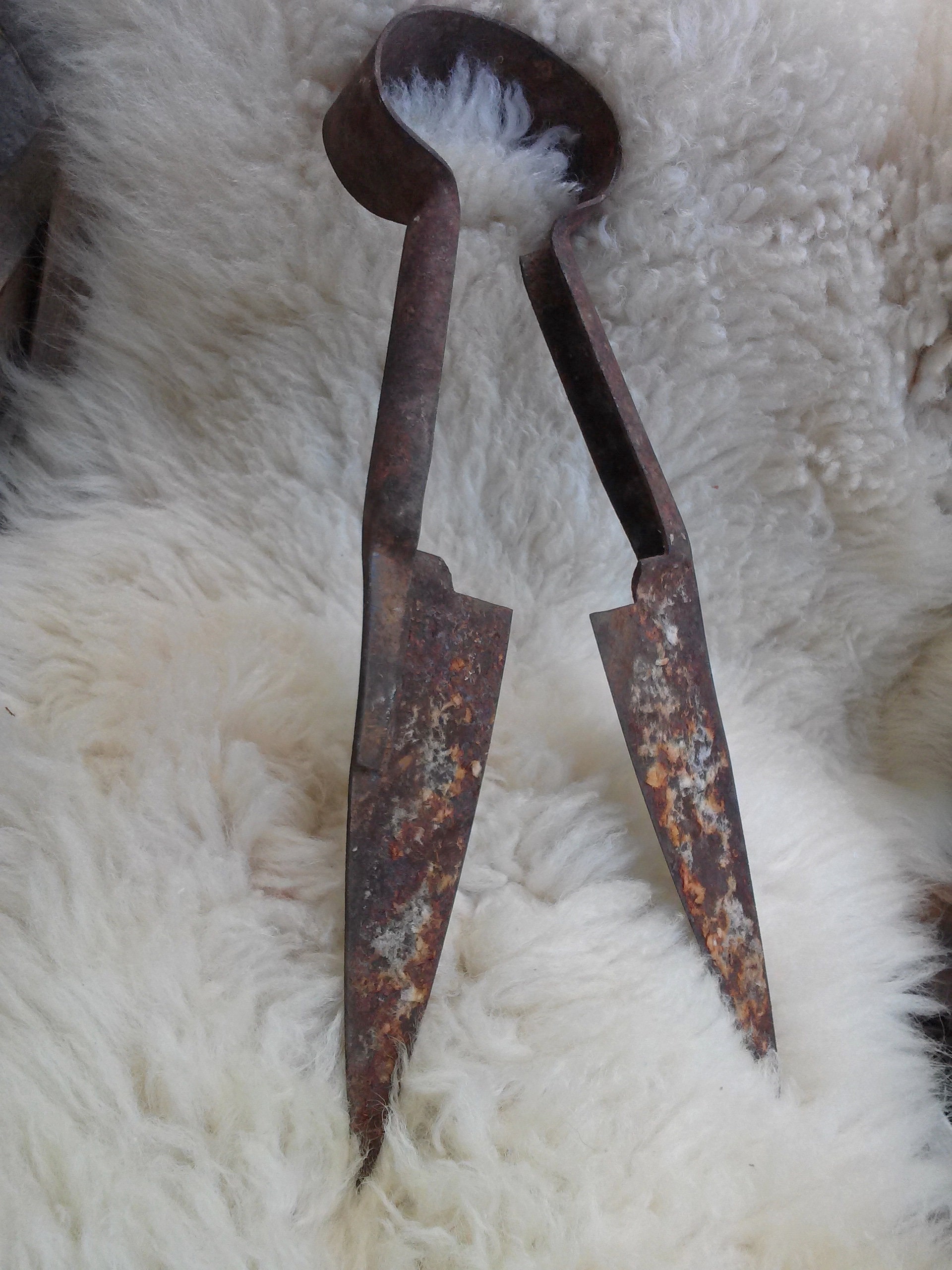 Rustic Vintage Sheep Shears Wool Cutters Farmhouse Decor Sheep - Etsy UK