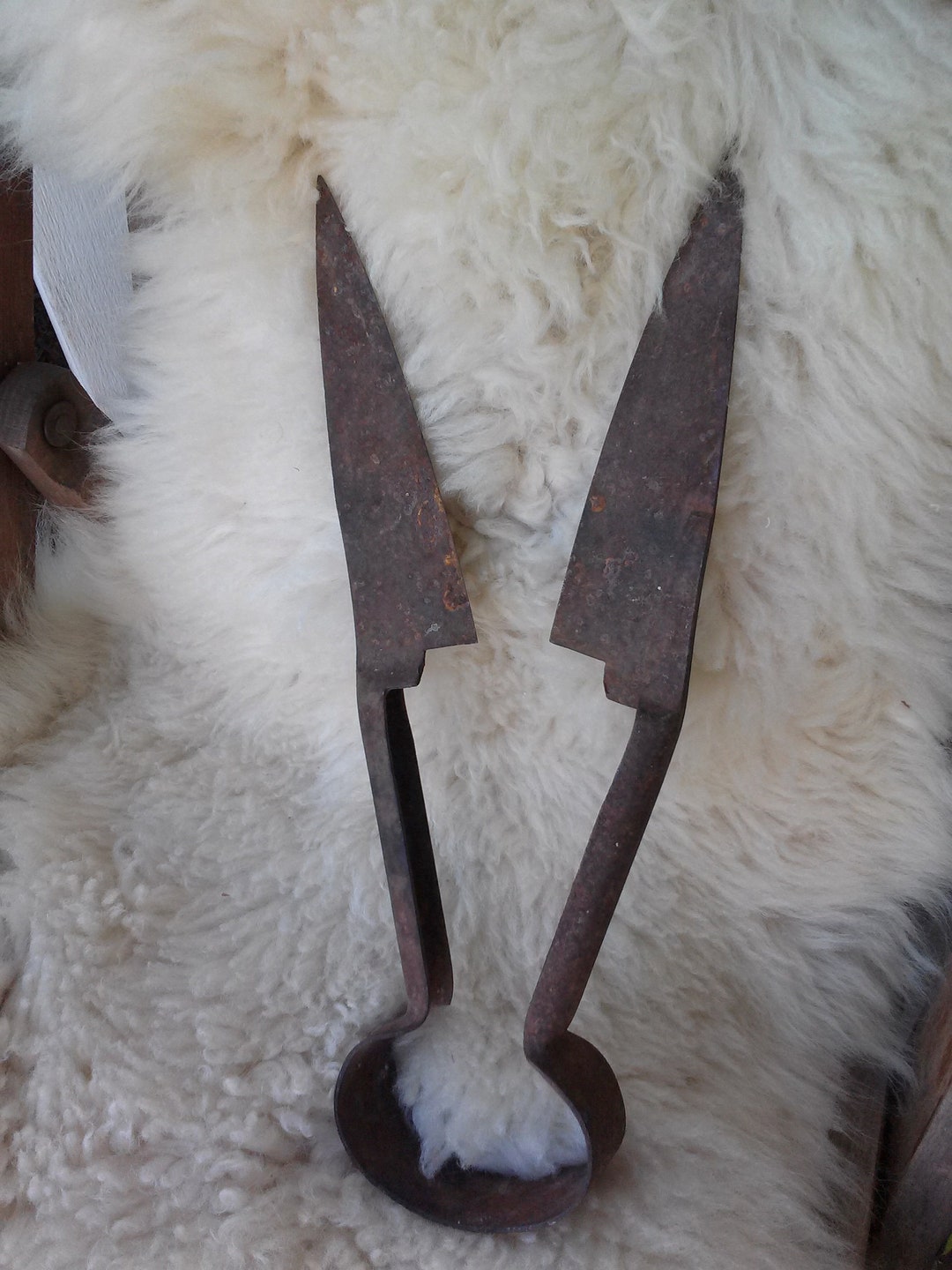 Rustic Vintage Sheep Shears Wool Cutters Farmhouse Decor Sheep Fleece ...