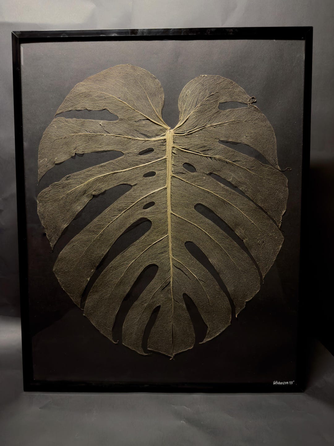 Original Framed Monstera Skeleton - Etsy