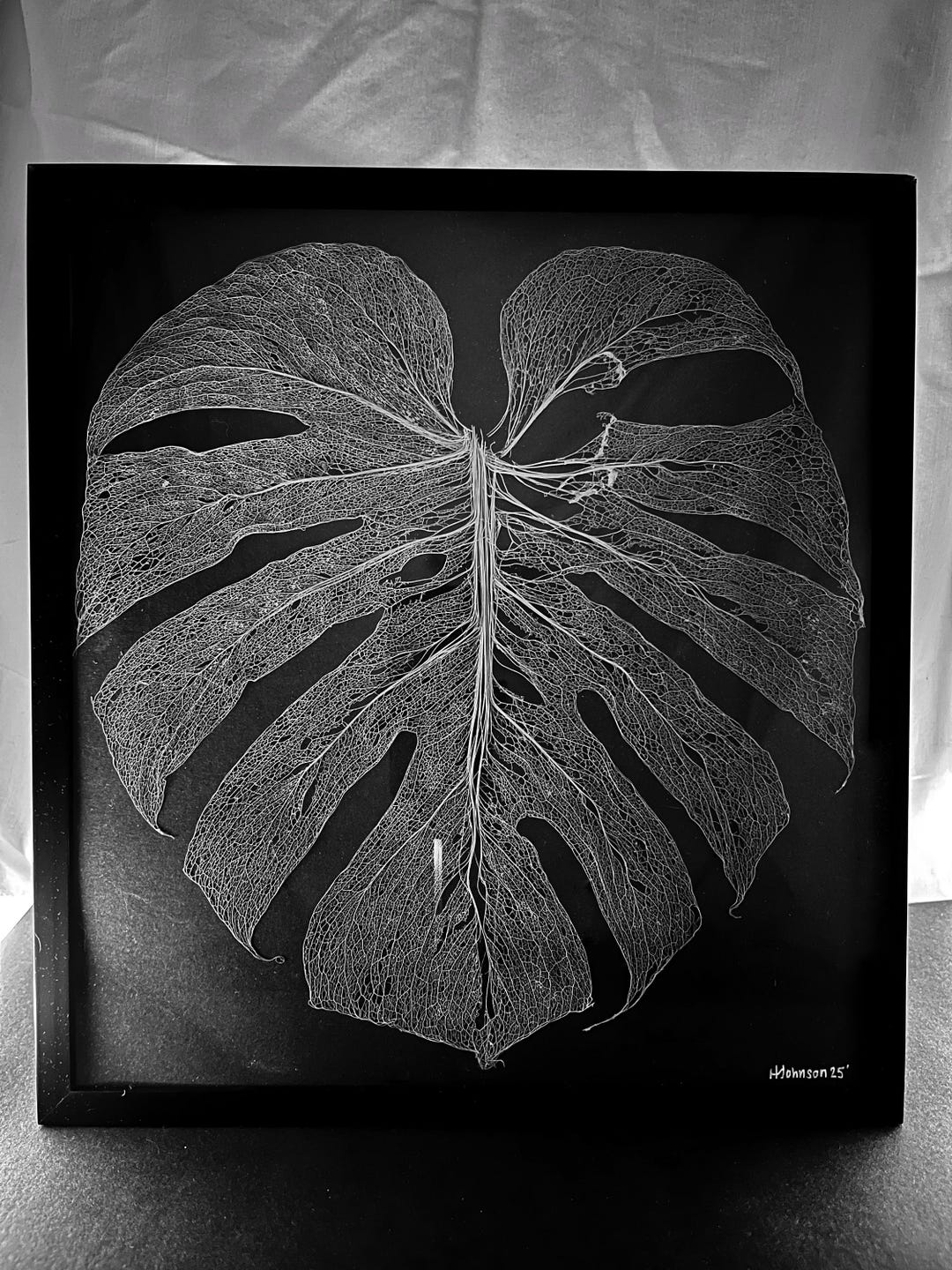 Original Framed Monstera Skeleton - Etsy
