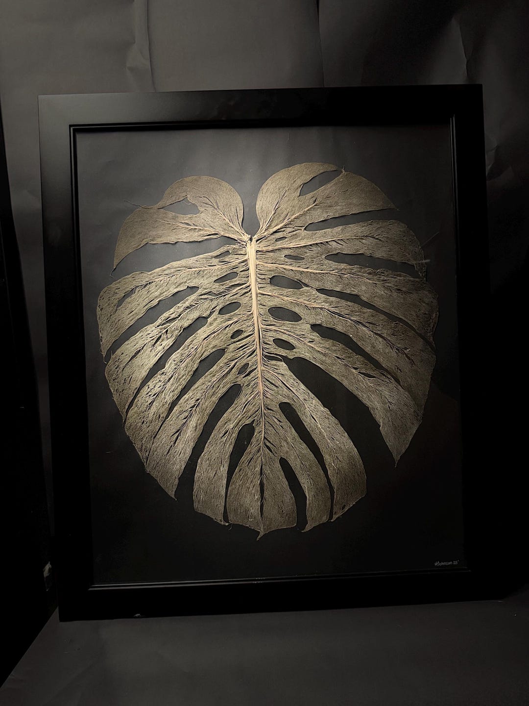 Original Framed Monstera Skeleton - Etsy