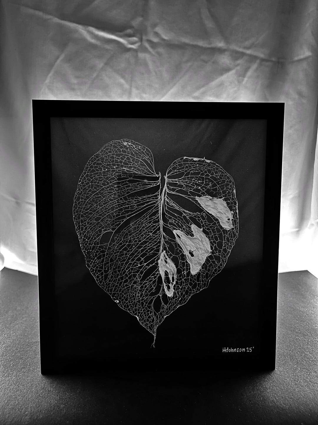 Original Framed Monstera Skeleton - Etsy