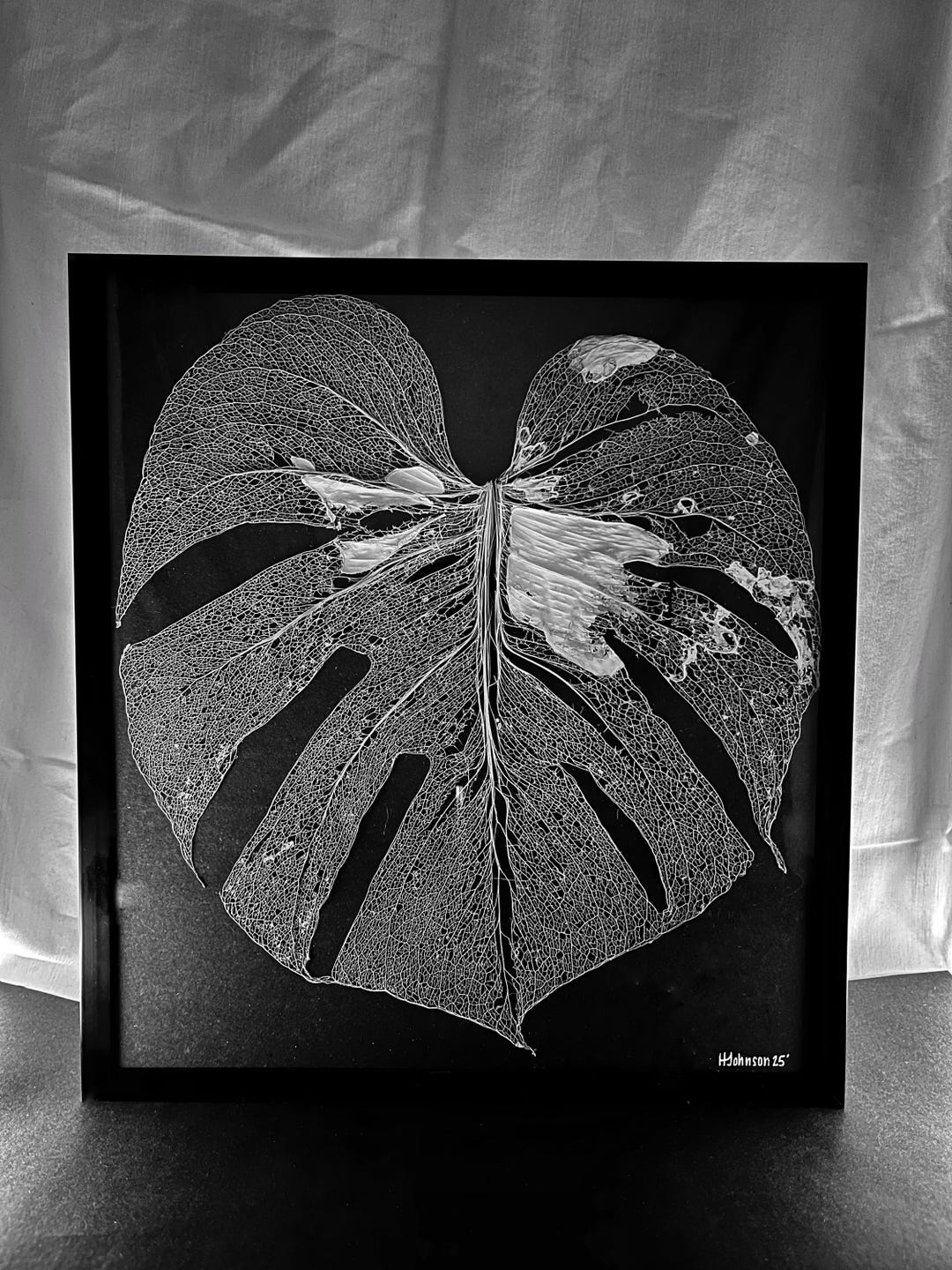 Original Framed Monstera Skeleton - Etsy
