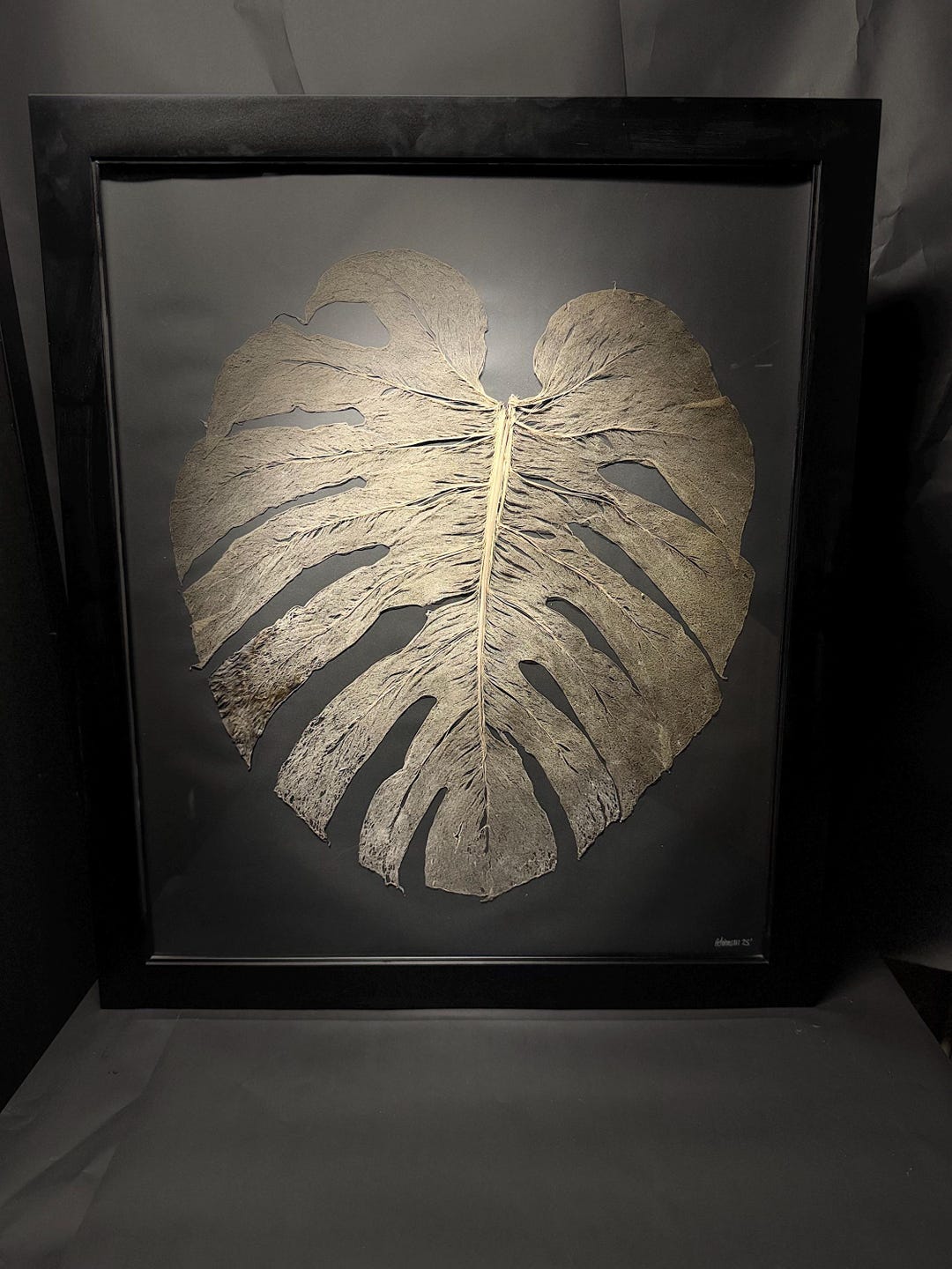 Original Framed Monstera Skeleton - Etsy