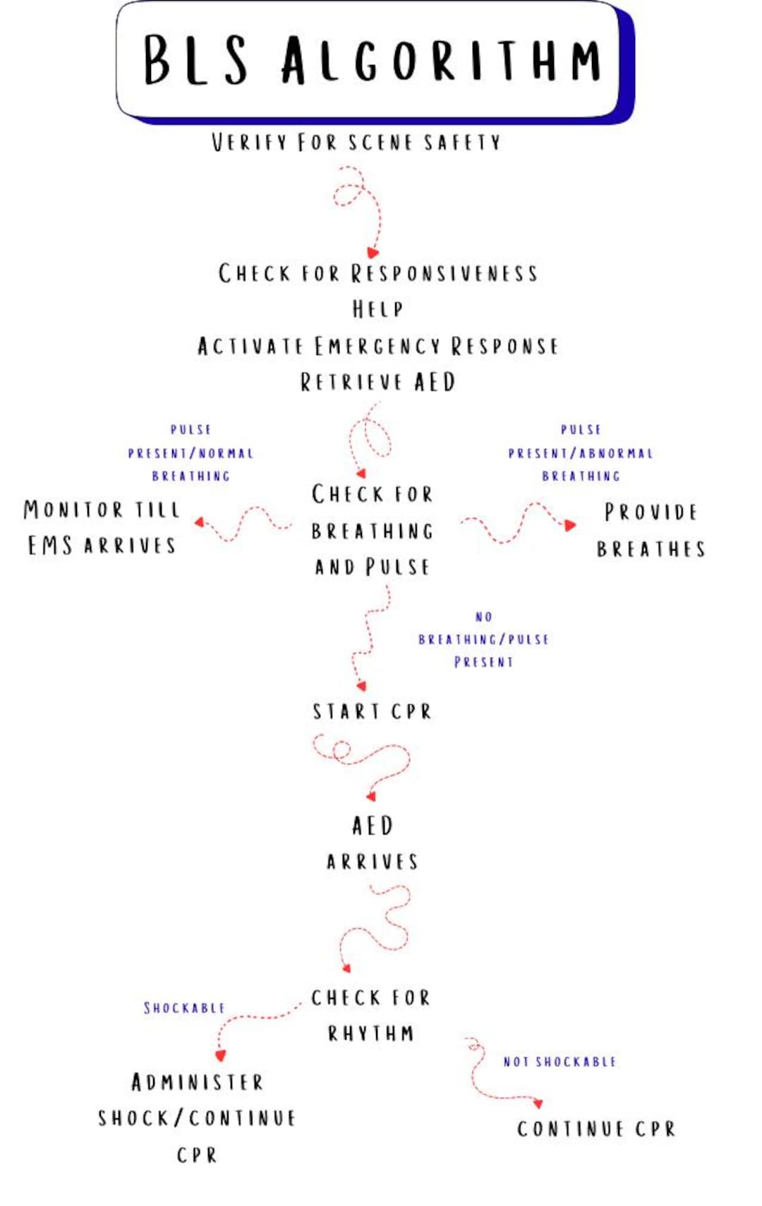 BLS Algorithm Cheatsheet - Etsy