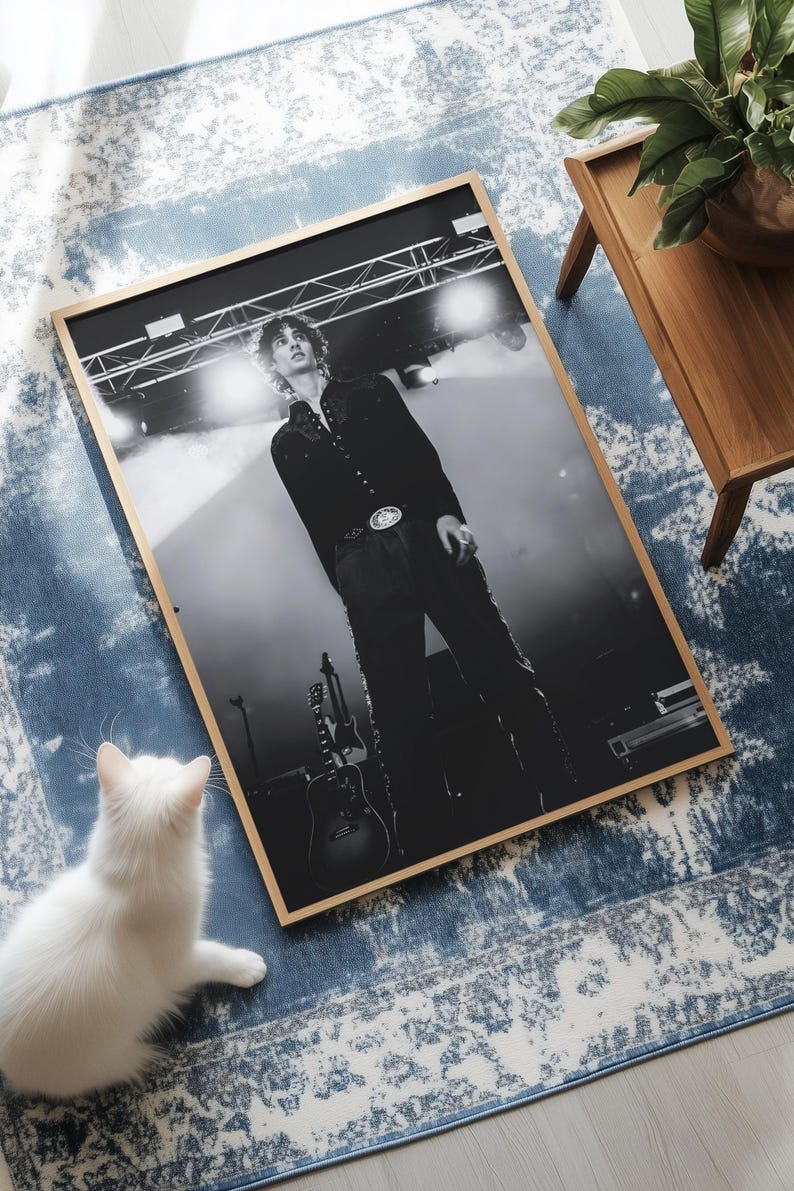 Sombr Concert Poster | Black & White Music Art | Indie Singer Print ...