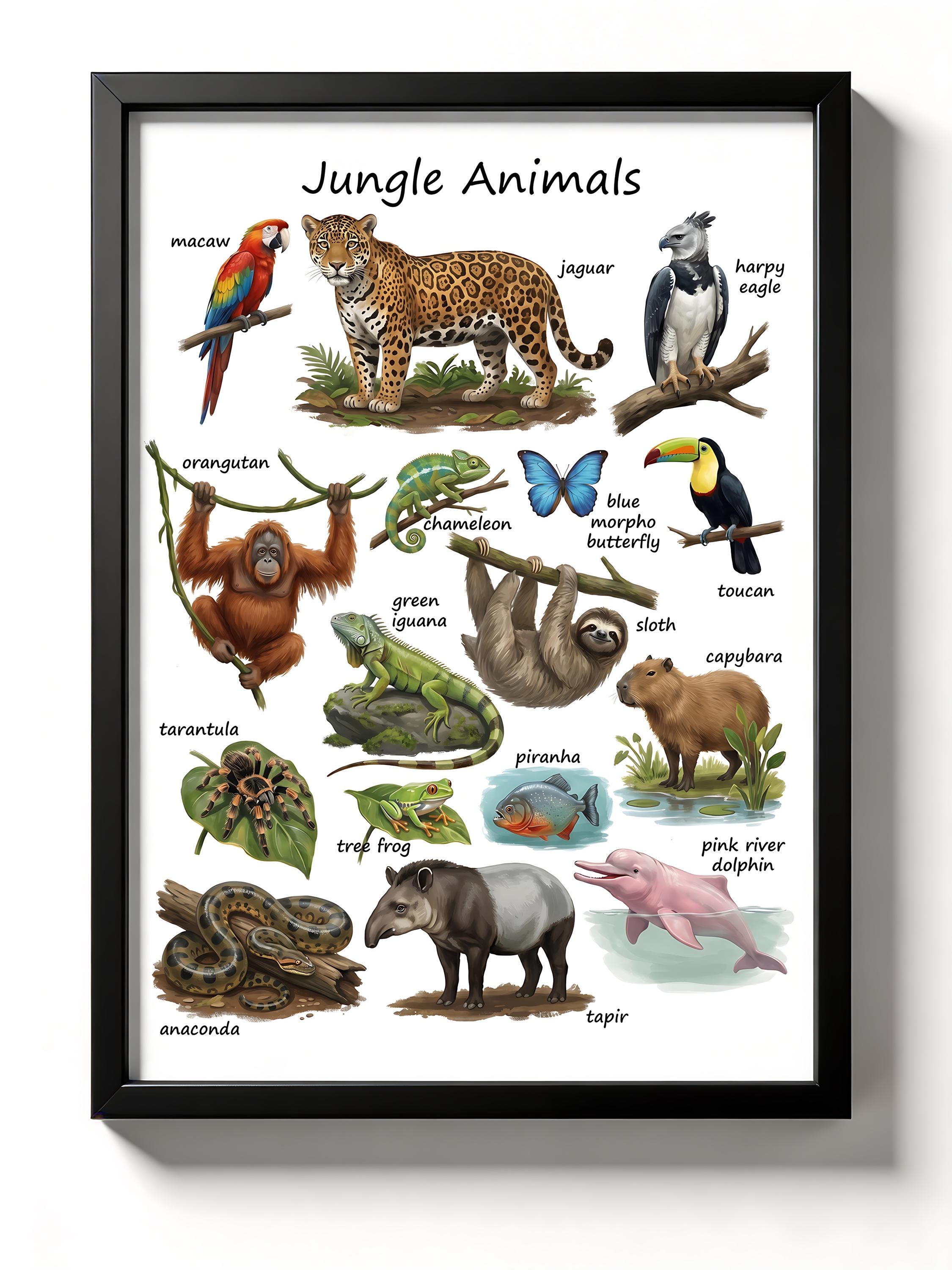 Jungle Animals Poster | Montessori Tropical Animals Chart, Nursery Wall ...
