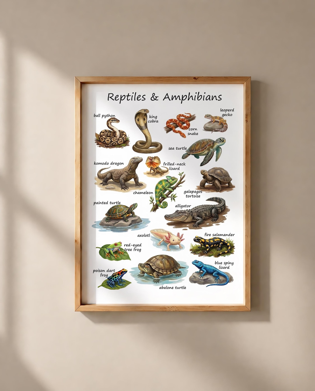 Reptiles & Amphibians Poster Printable | Physical Education, Montessori ...