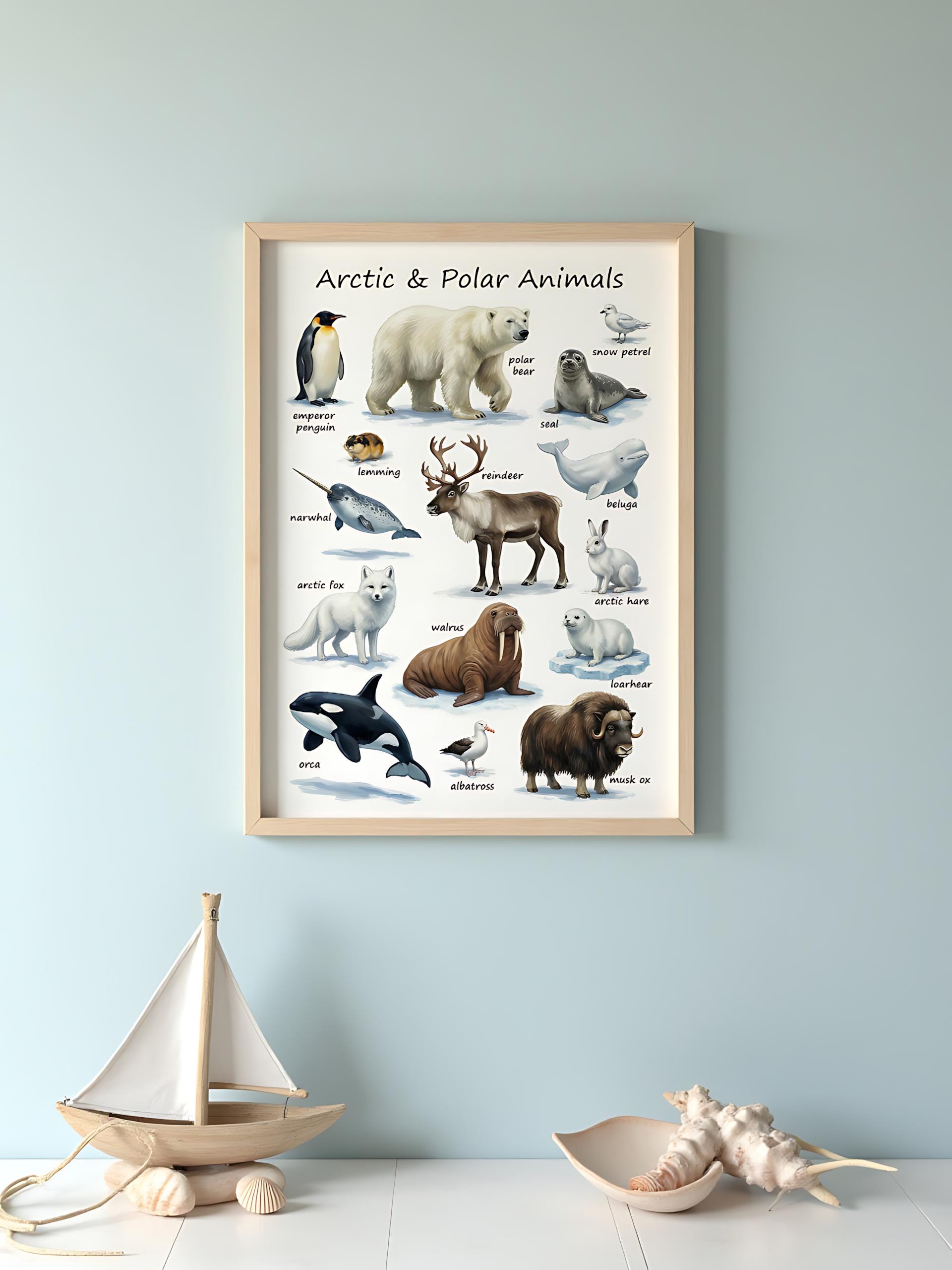 Arctic&polar Animals Poster, Educational Nursery Wall Art, Preschool ...