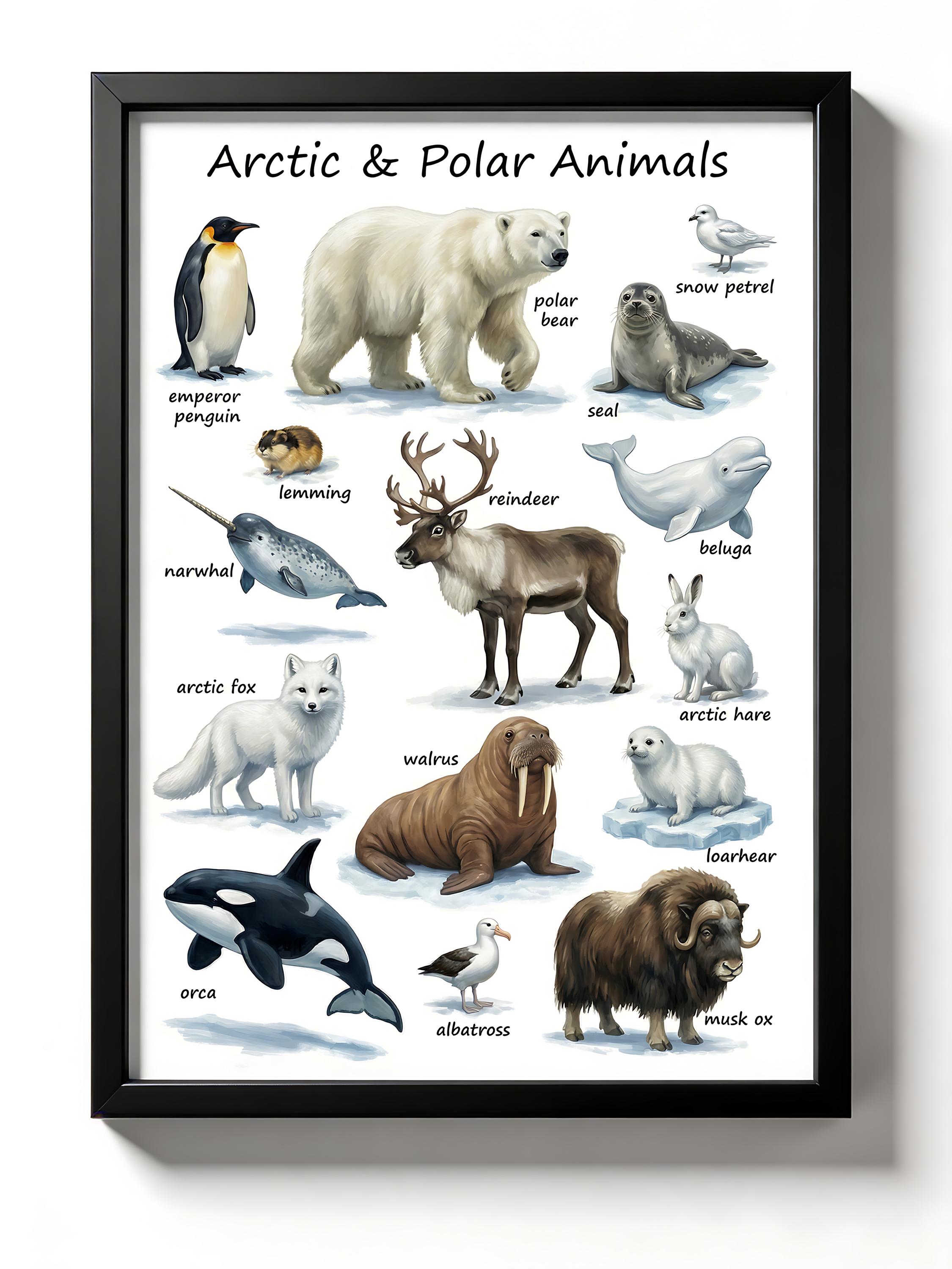 4 Animal Classification Posters | Preschool Set of 4 Printable (digital ...