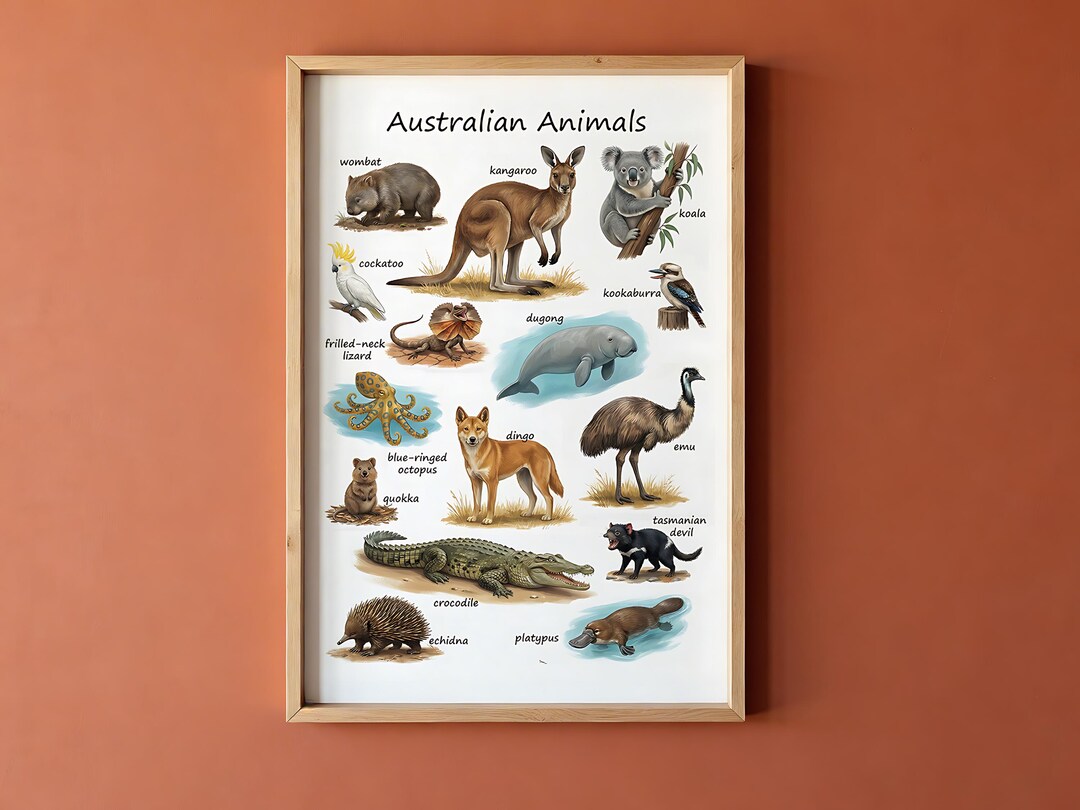 Australian Animals Poster | Physical Education Poster Toddler Learning ...