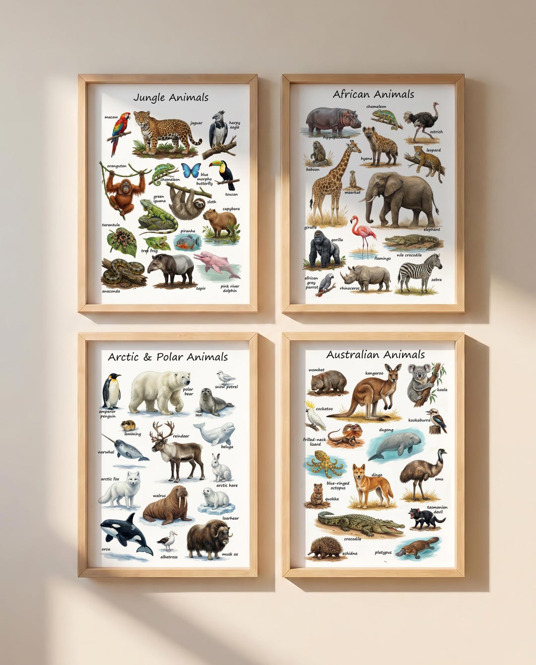 4 Animal Classification Posters | Preschool Set of 4 Printable (digital ...