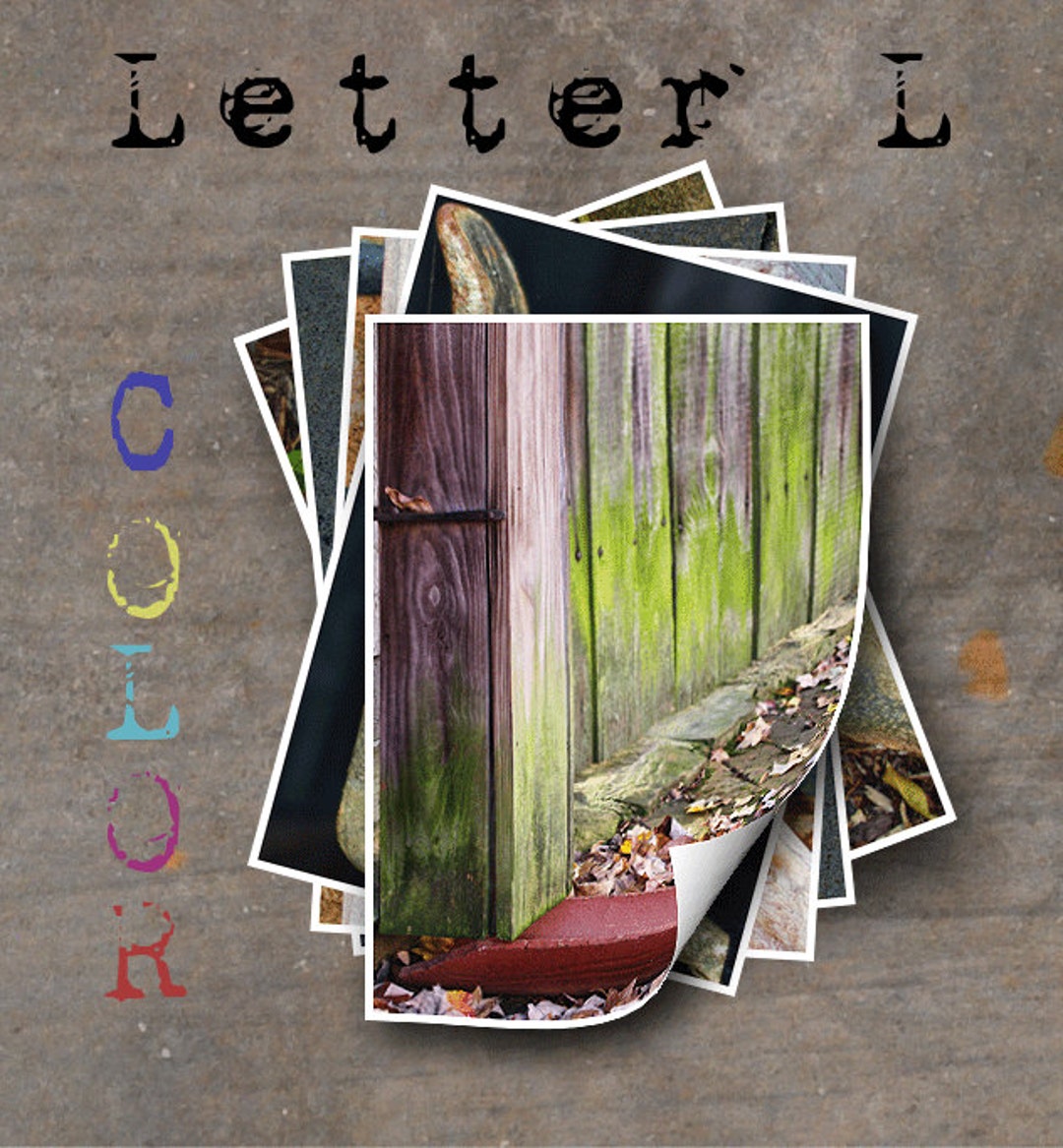 LETTER L Alphabet Photography LETTERS - Color Alphabet Photos - Etsy