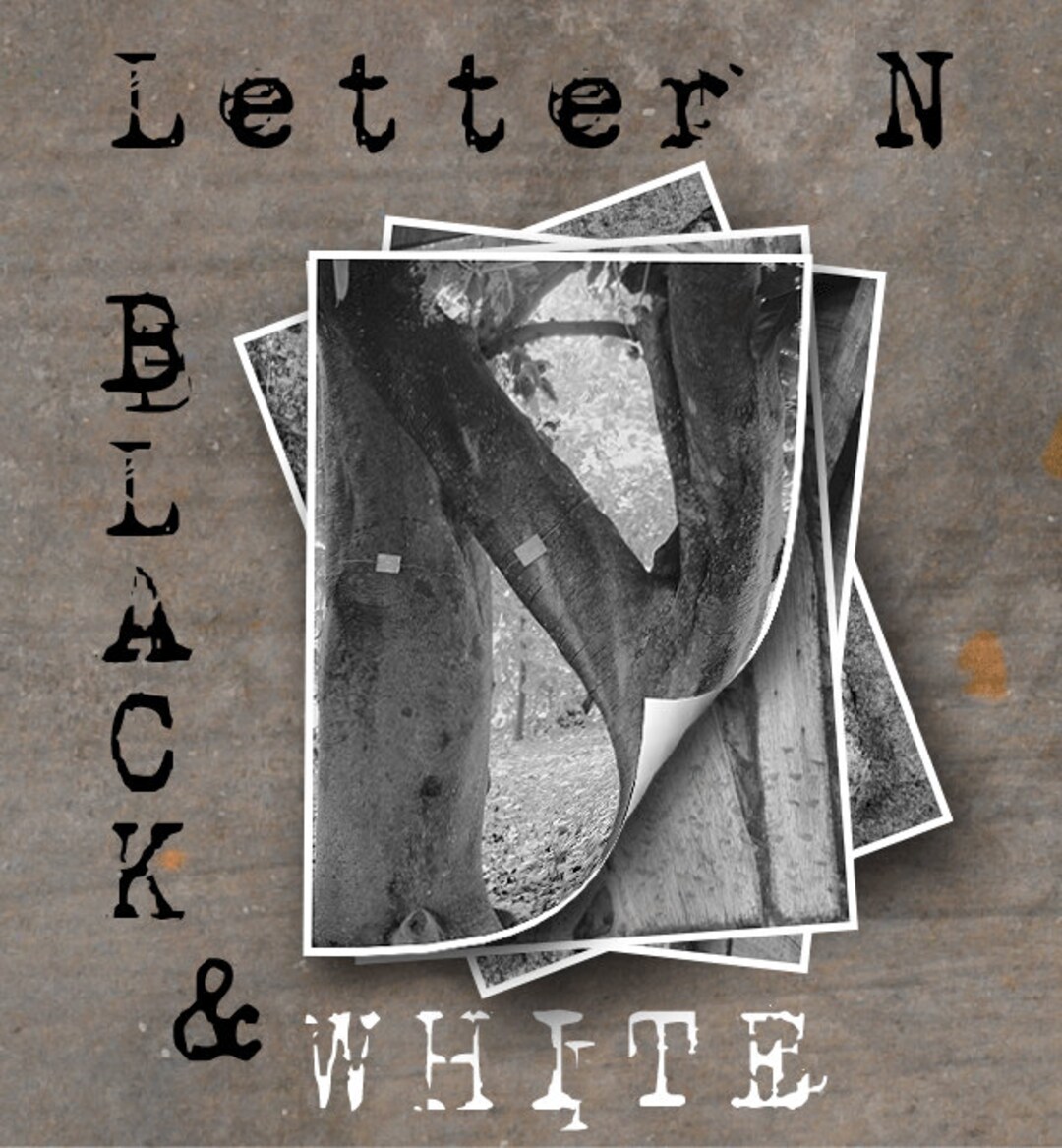 LETTER N Alphabet Photography LETTERS - Black and White Alphabet Photos ...