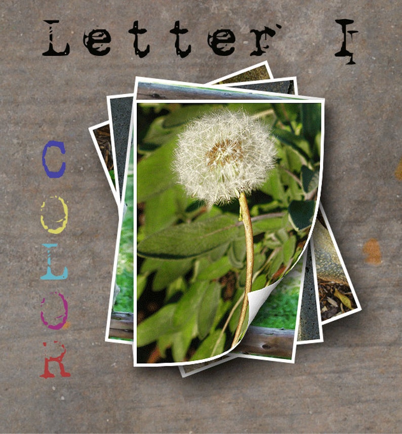 LETTER I Alphabet Photography LETTERS Color Alphabet Photos | Etsy