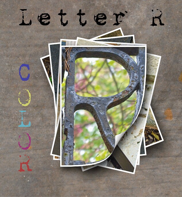 LETTER R Alphabet Photography LETTERS Color Alphabet Photos - Etsy