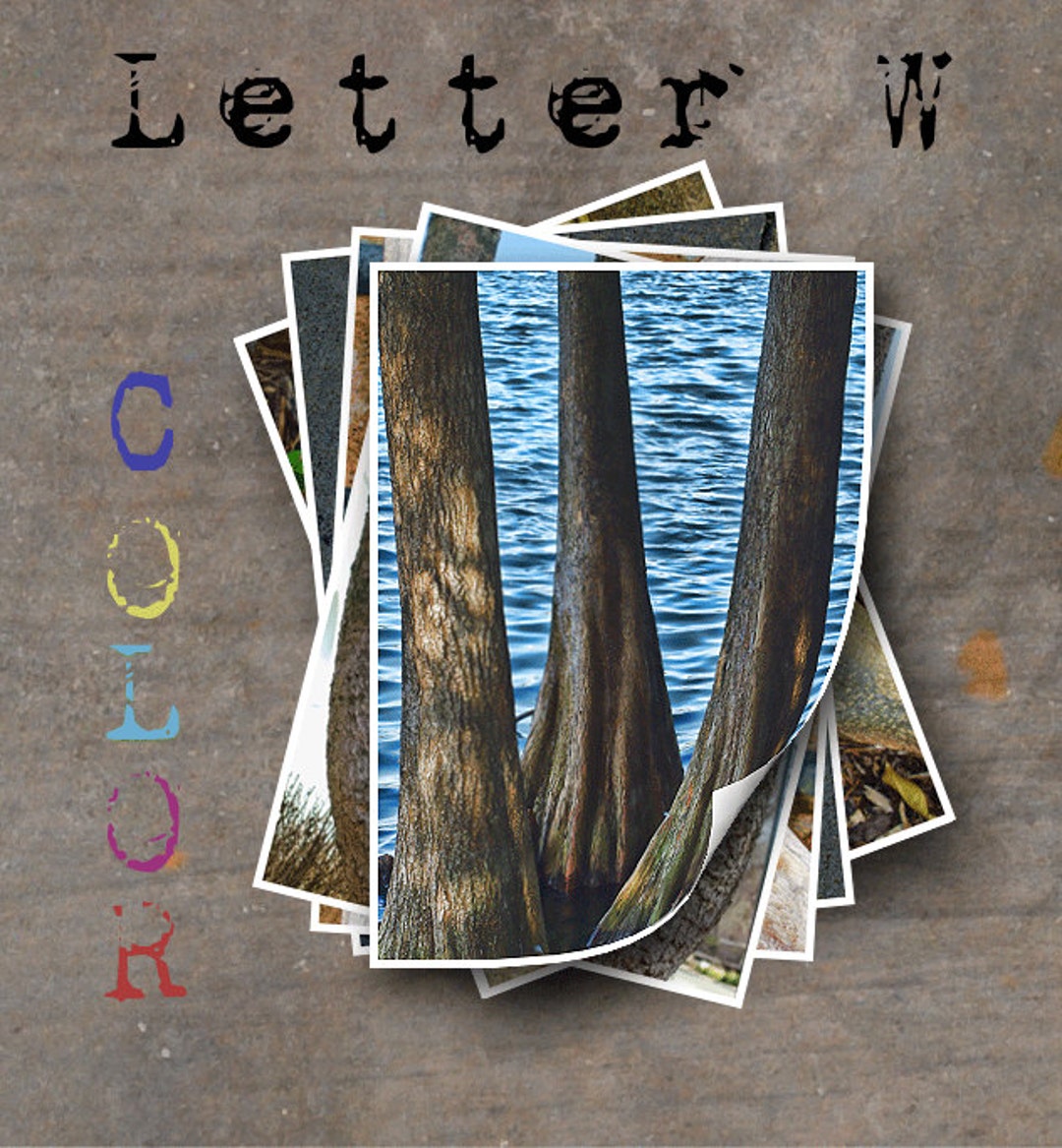 LETTER W Alphabet Photography LETTERS - Color Alphabet Photos - Etsy