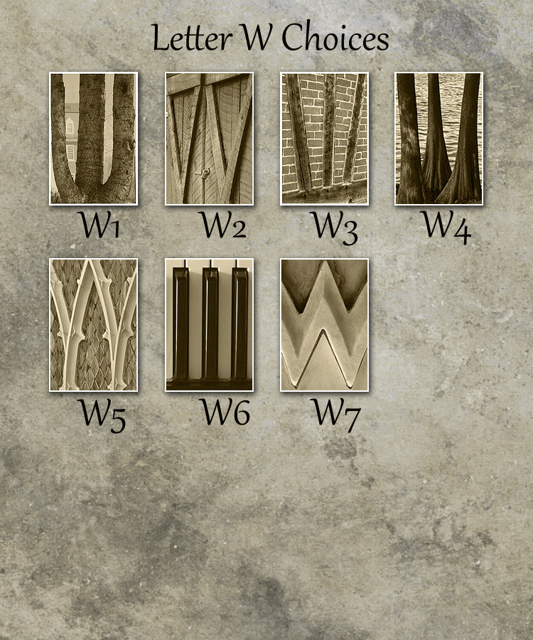 LETTER W Alphabet Photography LETTERS Sepia Alphabet Photos - Etsy