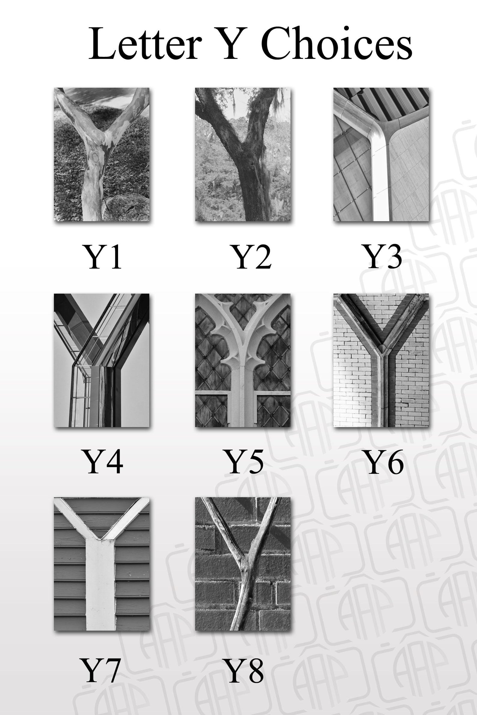LETTER Y Alphabet Photography LETTERS - Black and White Alphabet Photos ...