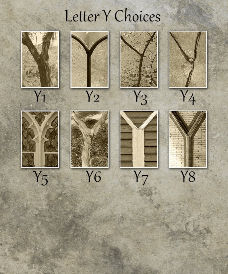 LETTER Y Alphabet Photography LETTERS Sepia Alphabet Photos - Etsy