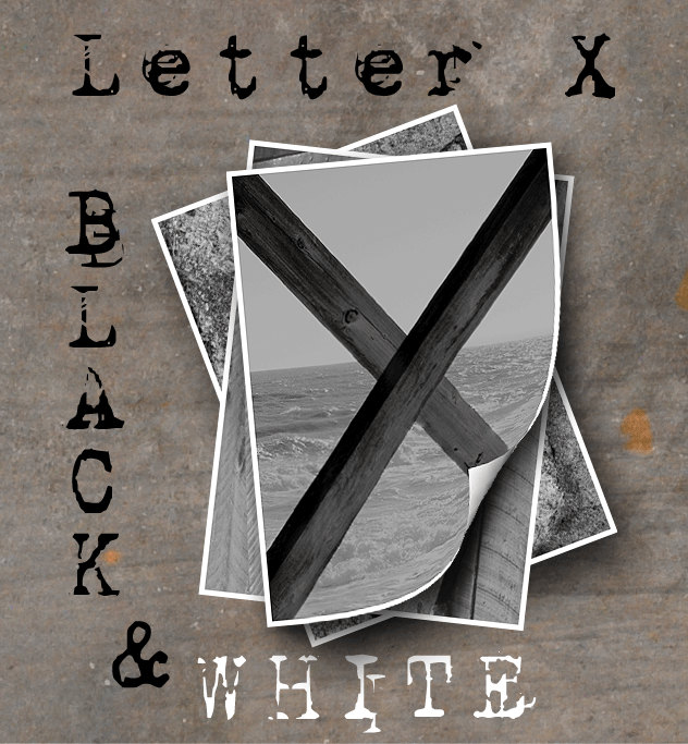 LETTER X Alphabet Photography LETTERS - Black and White Alphabet Photos ...