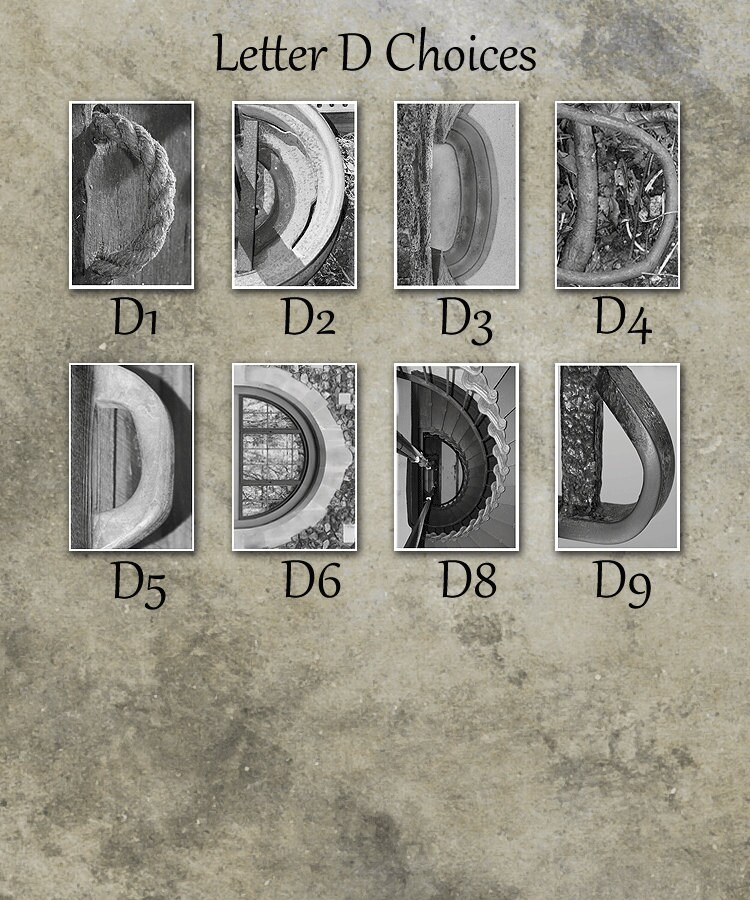 Letter D Choices Alphabet Photography Black and White - Etsy