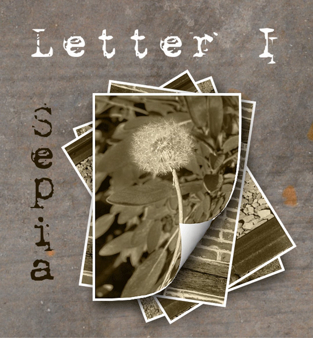 LETTER I Alphabet Photography LETTERS - Sepia Alphabet Photos - Etsy