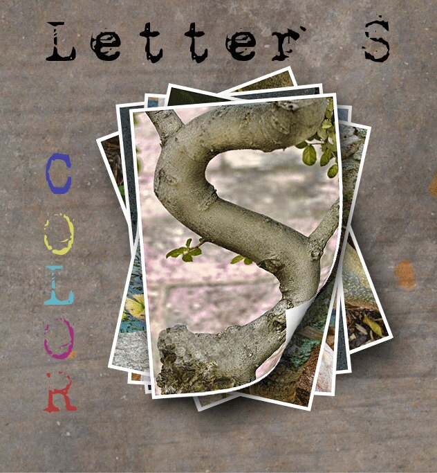 LETTER S Alphabet Photography LETTERS - Color Alphabet Photos - Etsy