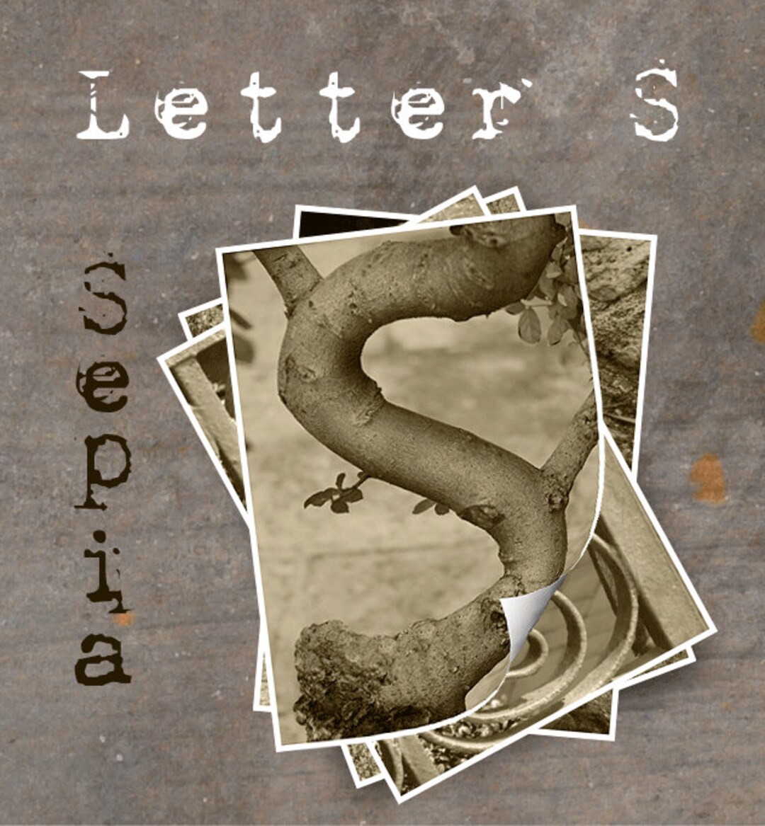 LETTER S Alphabet Photography LETTERS - Sepia Alphabet Photos - Etsy