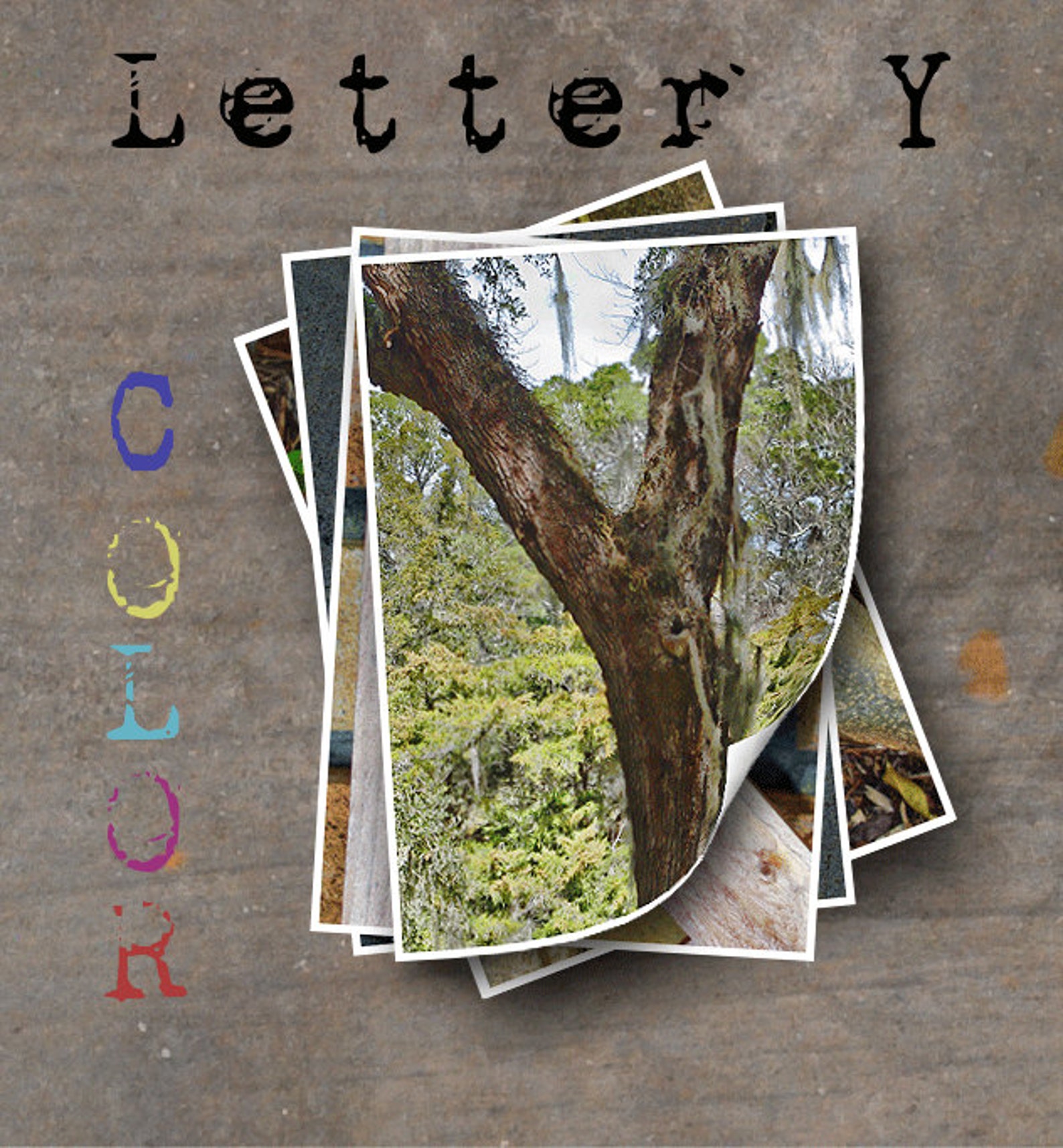 LETTER Y Alphabet Photography LETTERS Color Alphabet Photos - Etsy