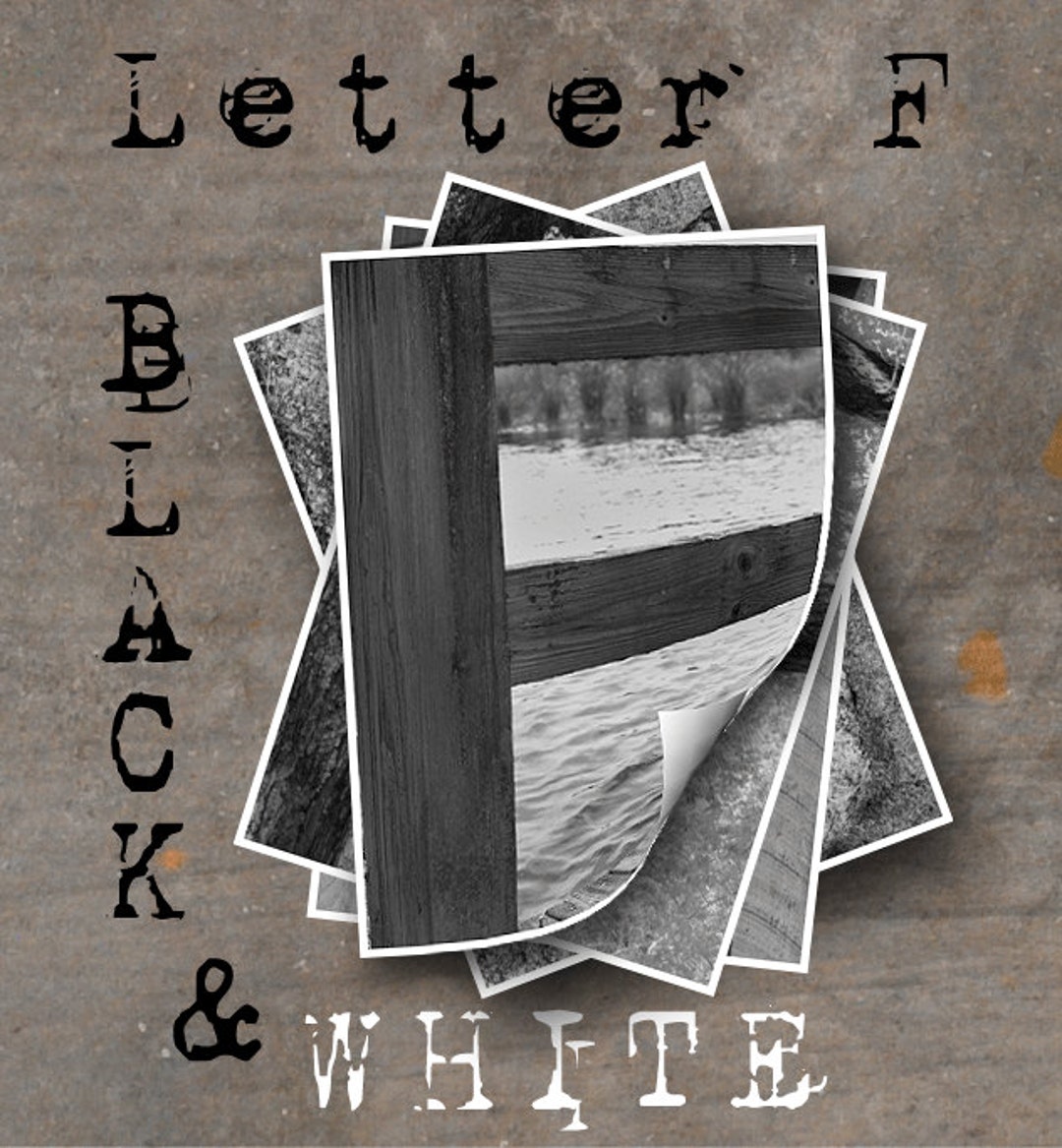 Alphabet Photo Letter Art - LETTER F CHOICES Alphabet Photography ...