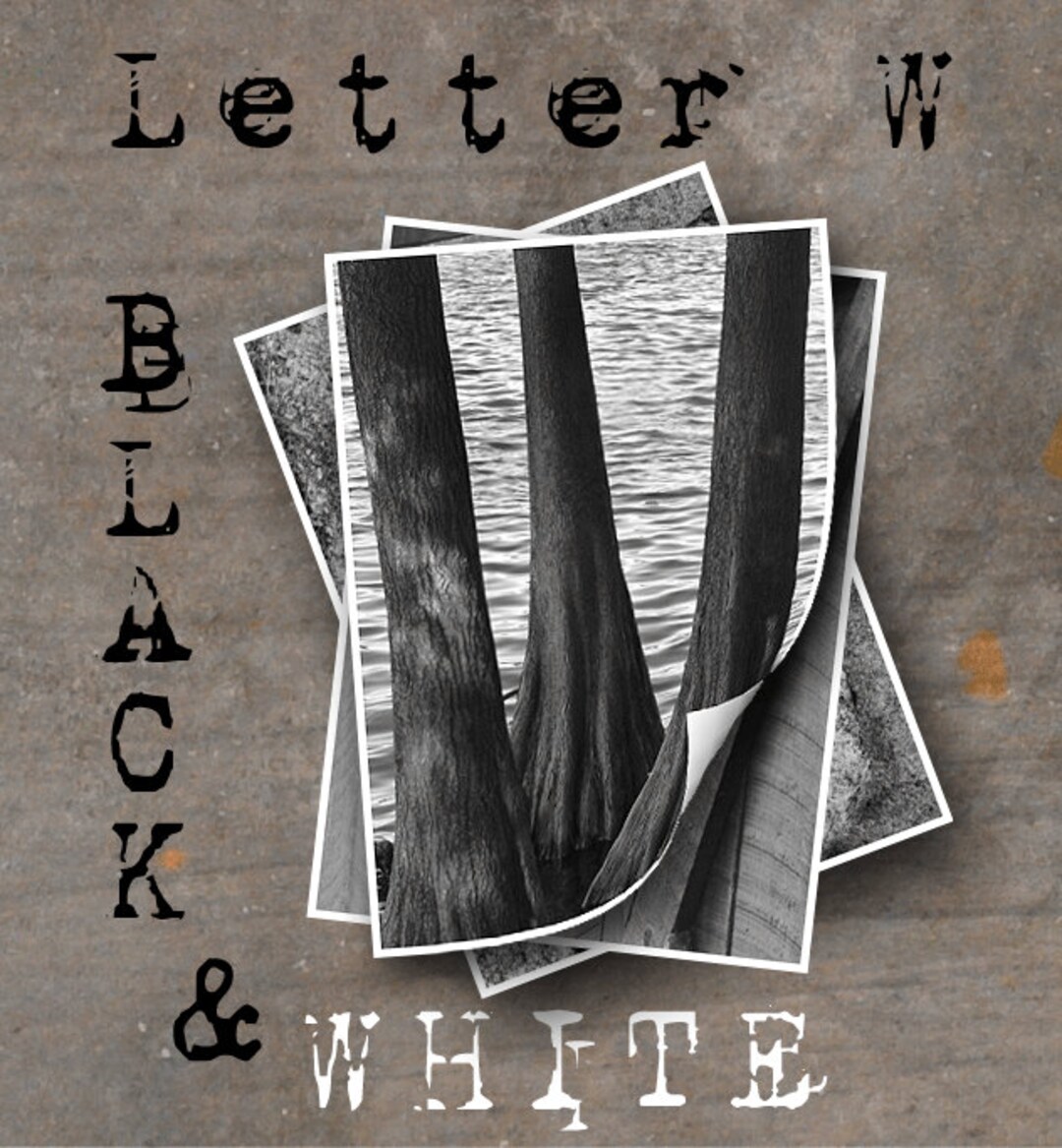 LETTER W Alphabet Photography LETTERS - Black and White Alphabet Photos ...