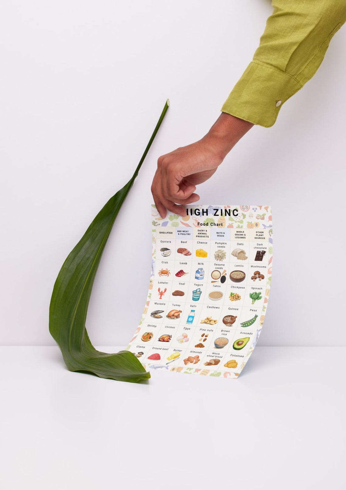 Zinc Rich Foods Chart | Dietitian Approved (digital Download) - Etsy