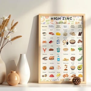 Zinc Rich Foods Chart | Dietitian Approved (digital Download) - Etsy