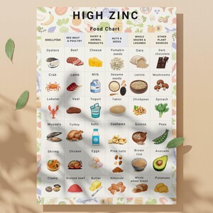 Zinc Rich Foods Chart | Dietitian Approved (digital Download) - Etsy