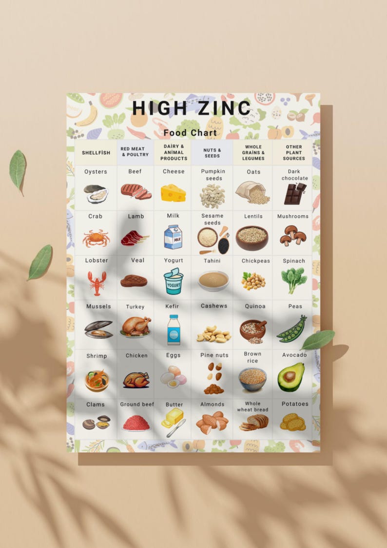 Zinc Rich Foods Chart | Dietitian Approved (digital Download) - Etsy