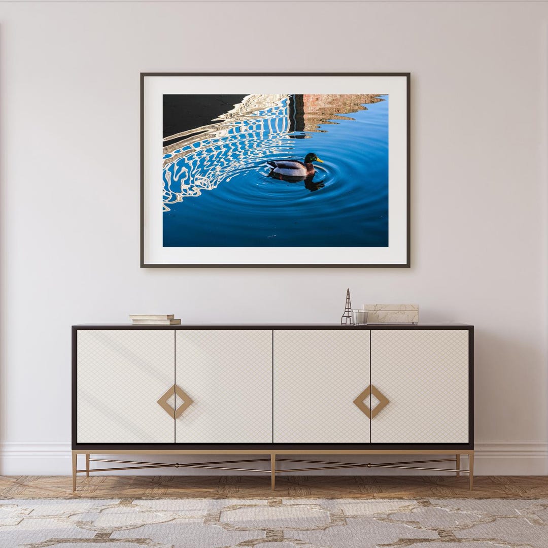 Mallard Duck Print, Braunston Marina Canal, British Bird Photo - Etsy