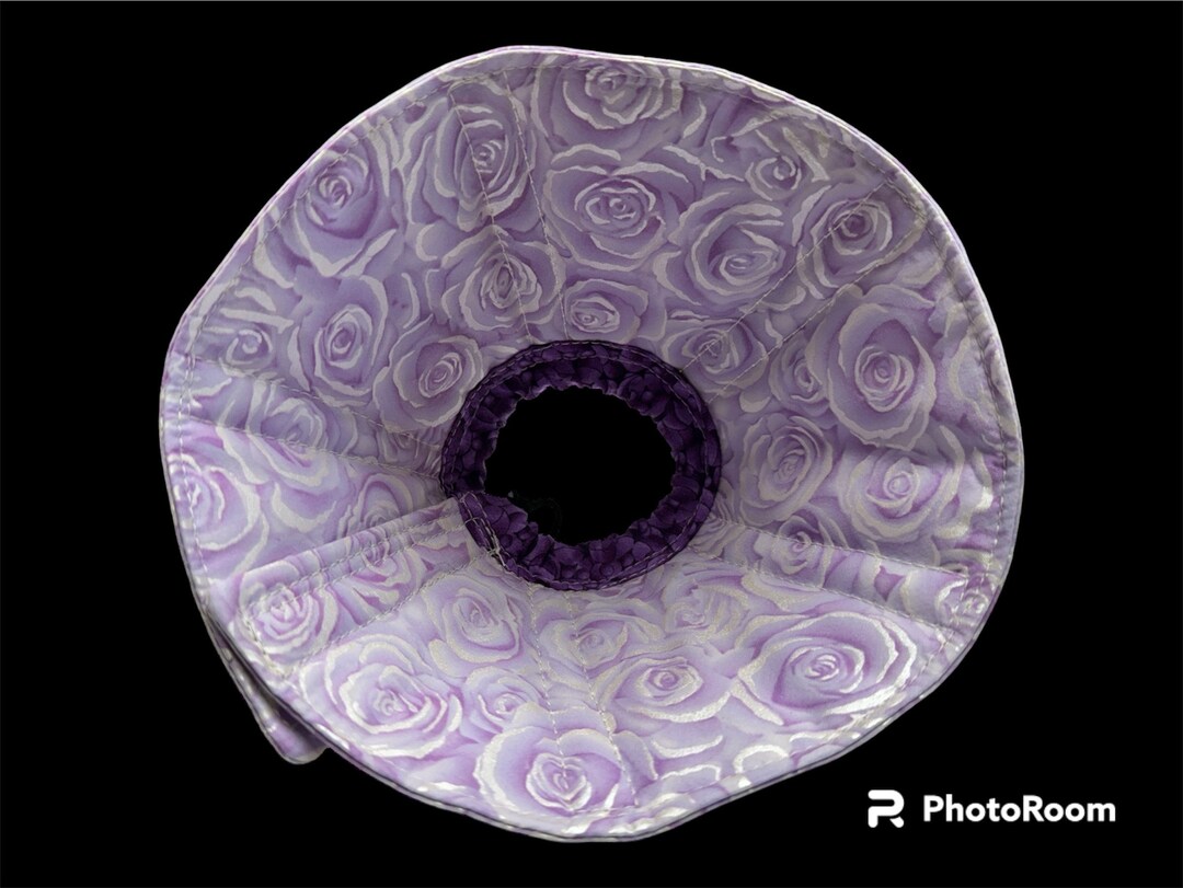 Handmade Cat Cone, Elizabethan Collar - Etsy