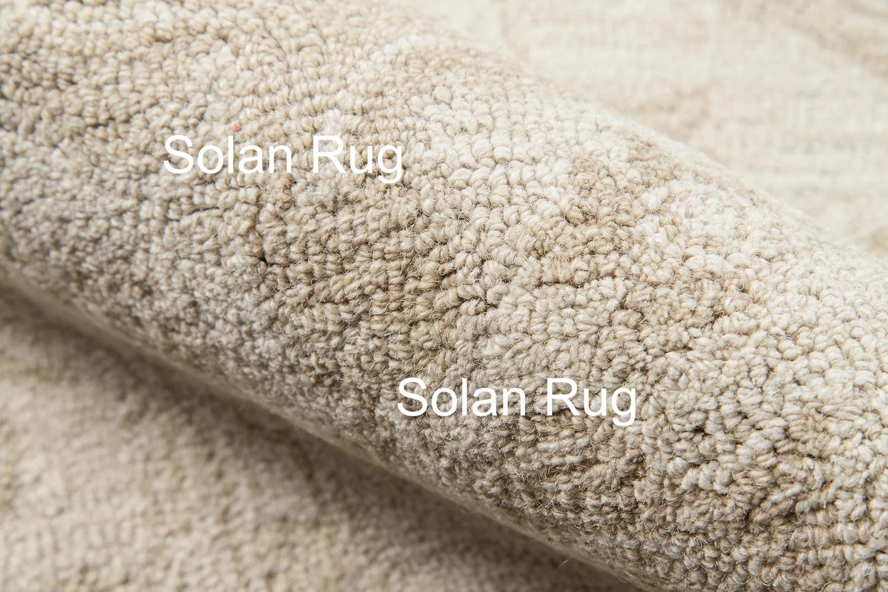 Cream and Beige Area Rug, Embossed Floral Wool Rug, Neutral Boho Living ...