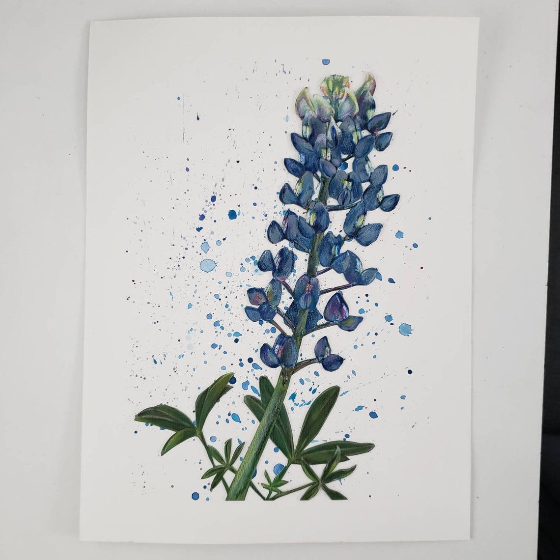 Texas Bluebonnet- Art PRINT, Watercolor Illustration Artwork ...