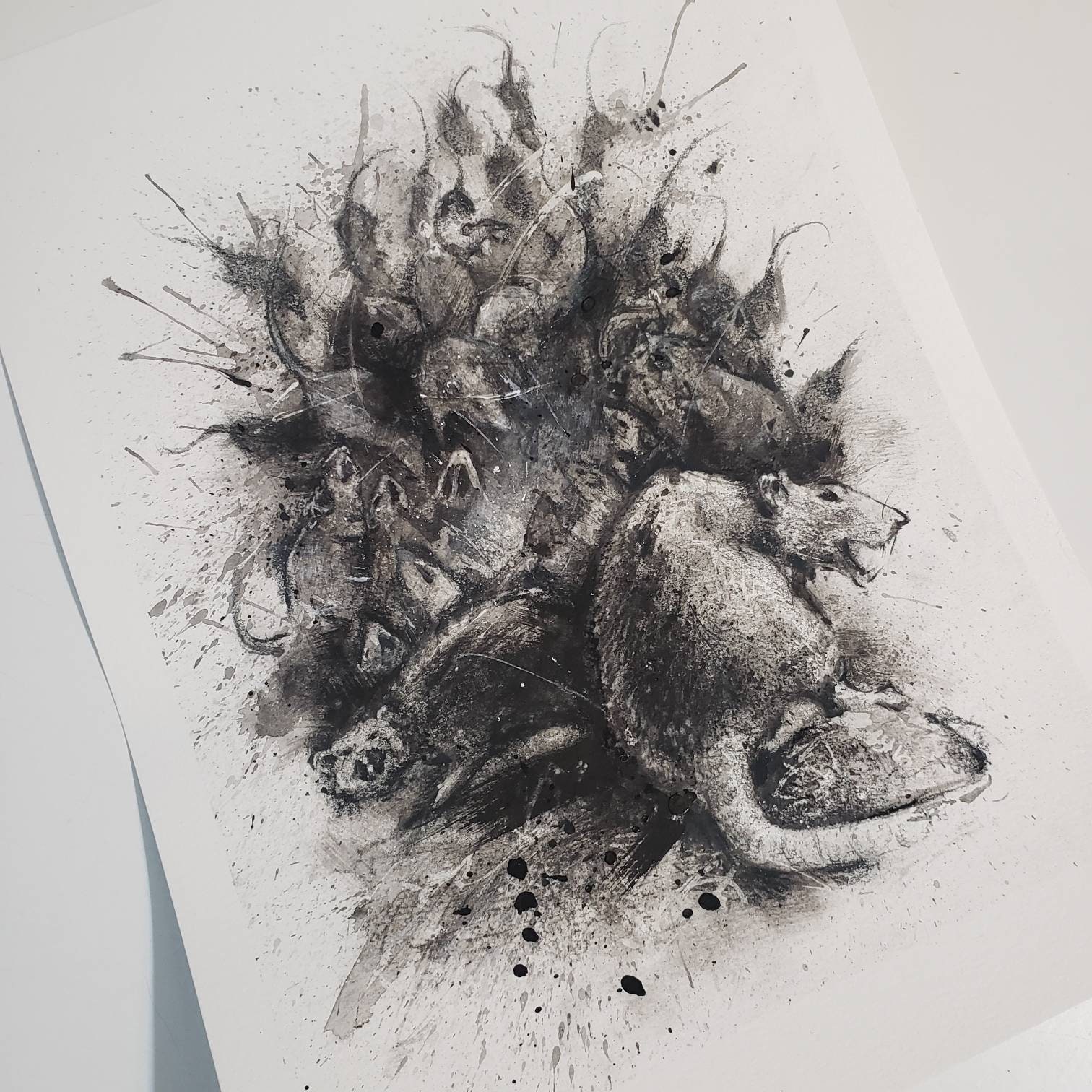 Black Death Rats Drawings